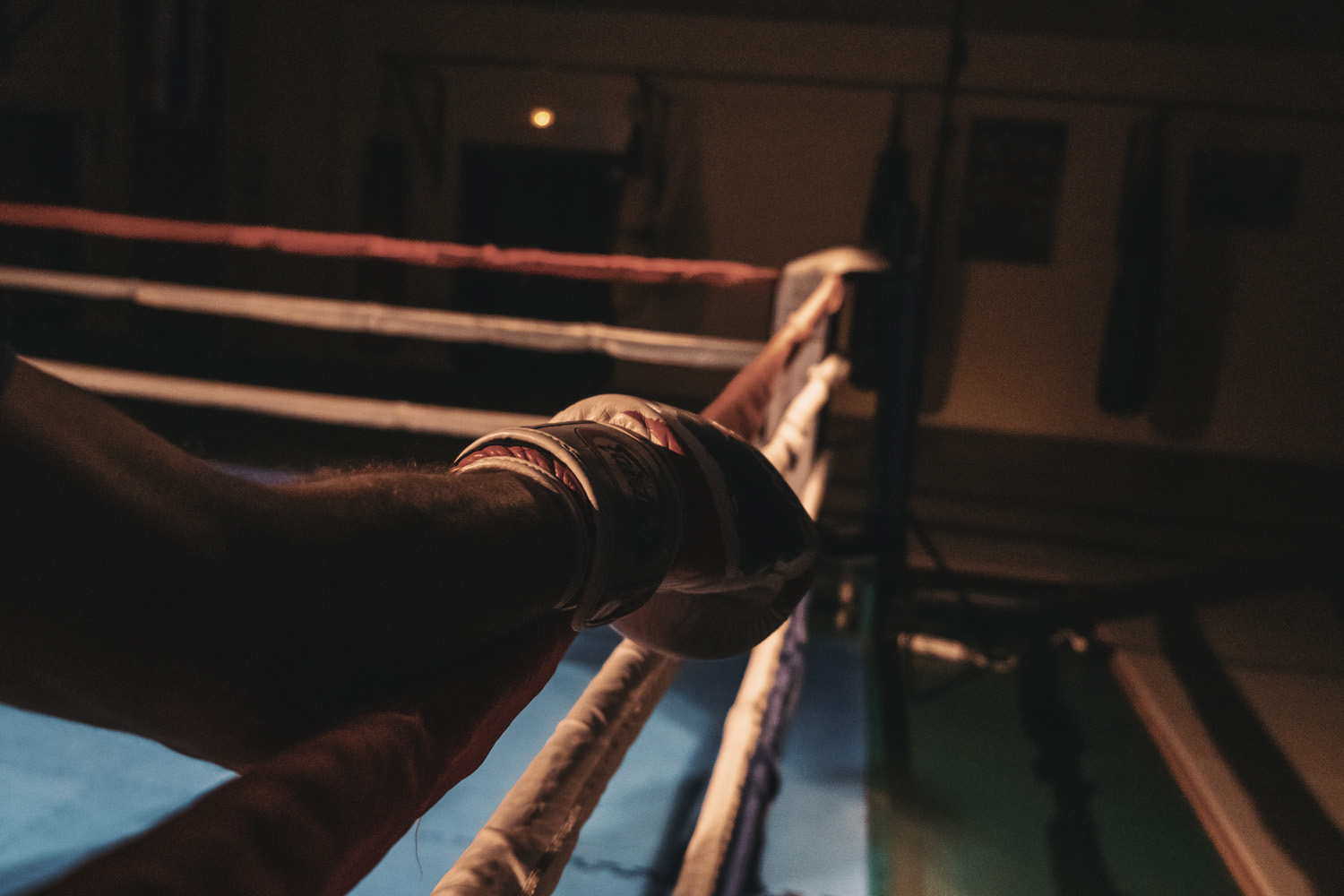 Shadowboxing | Collected